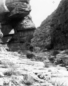 Red Flaggers Archives - Las Colonias - The Mormon Colonies in Mexico